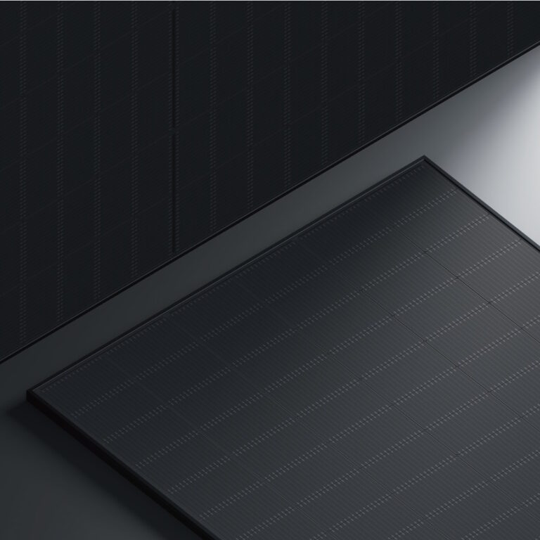 500W DMEGC Full Black N-Type Bifacial - Jkfdomus